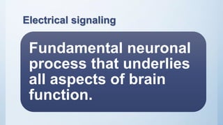 Neuronal signaling | PPSX