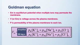 Neuronal signaling | PPSX