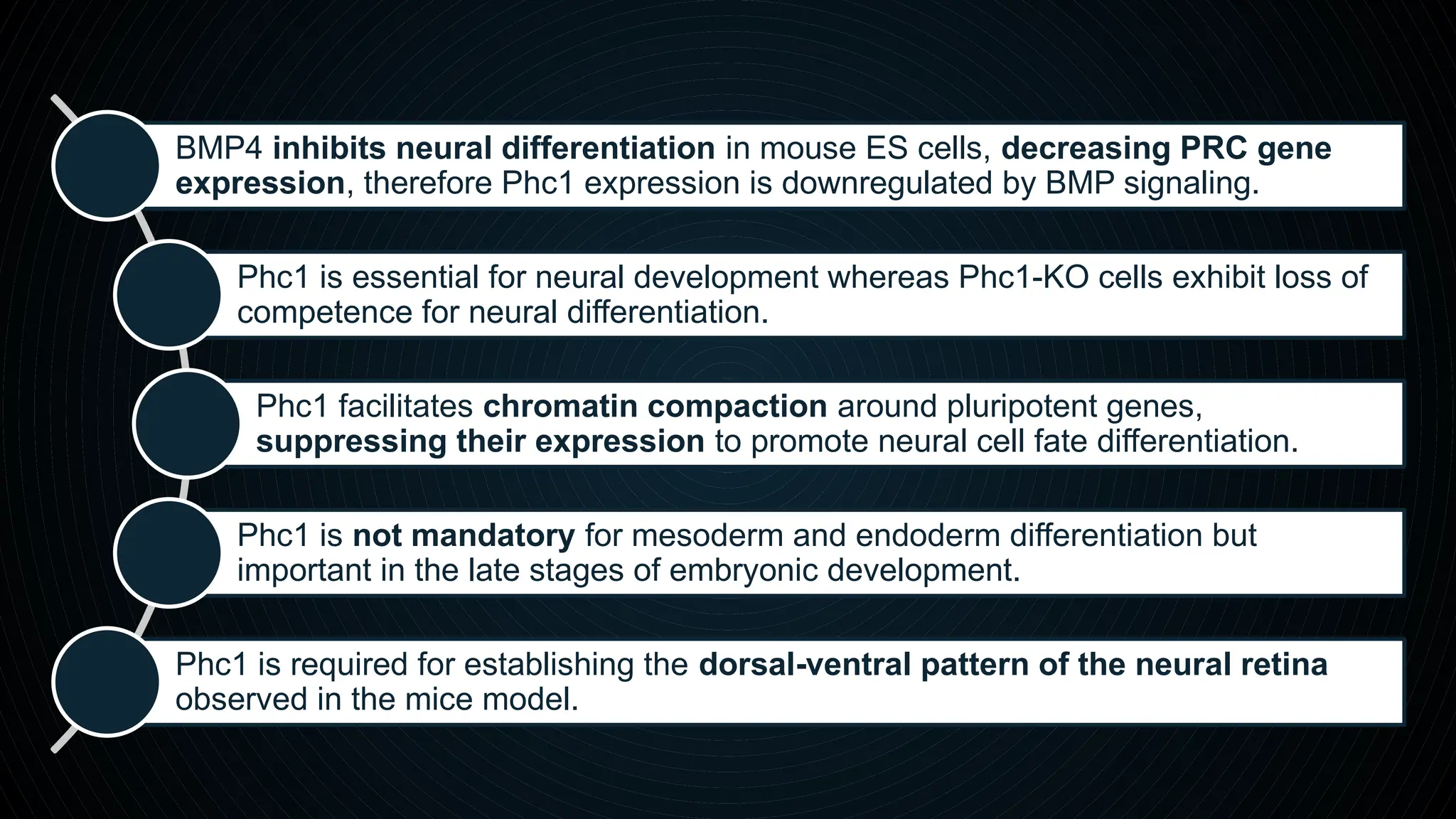 Neuronal Synapse Case Report by Slidesgo.pptx