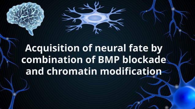 Neuronal Synapse Case Report by Slidesgo.pptx