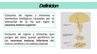 neurona motora superior e inferior.pptx