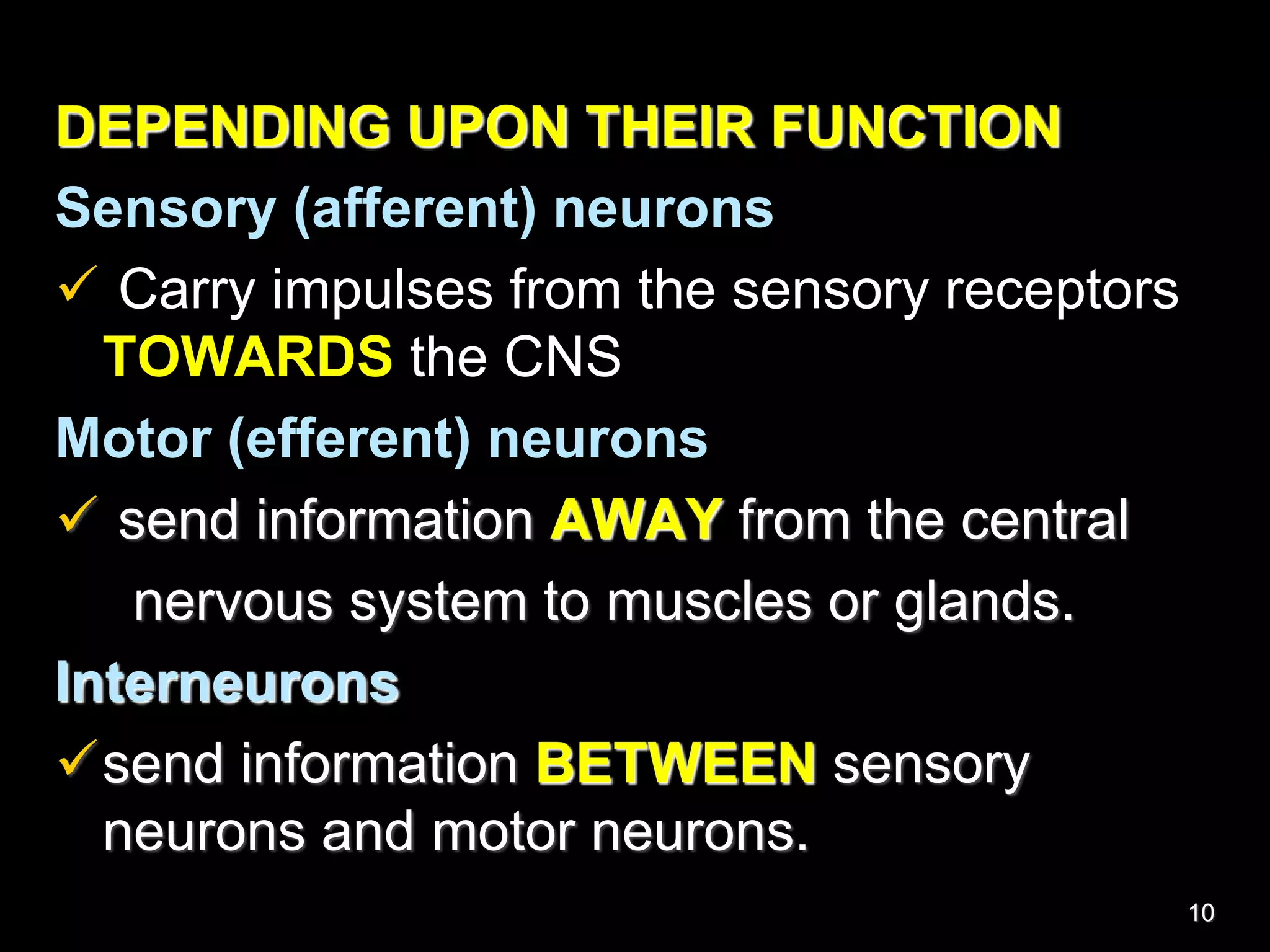 NERVE PHYSIOLOGY- NEURON & NEUROGLIA | PPT