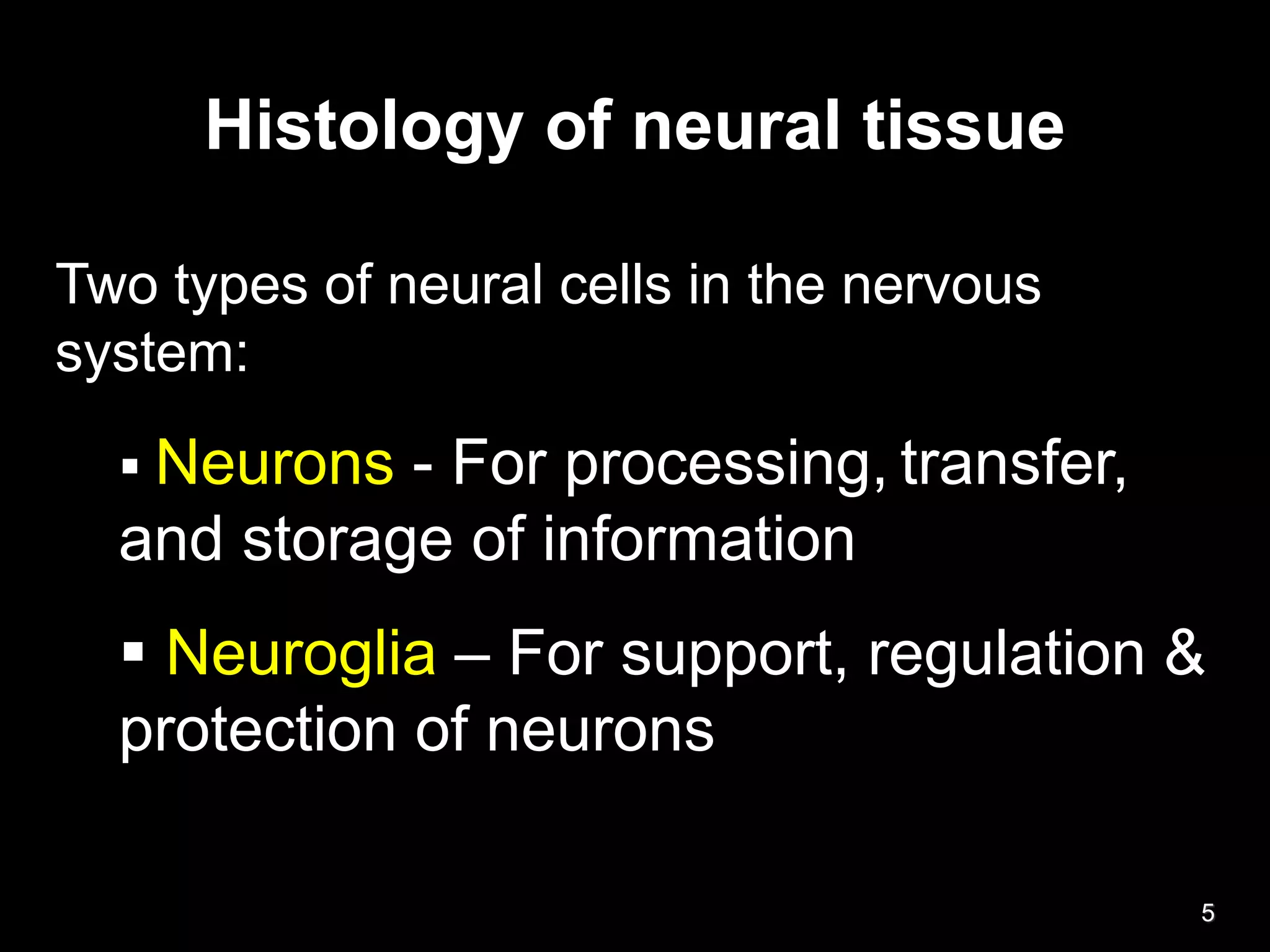 NERVE PHYSIOLOGY- NEURON & NEUROGLIA | PPT