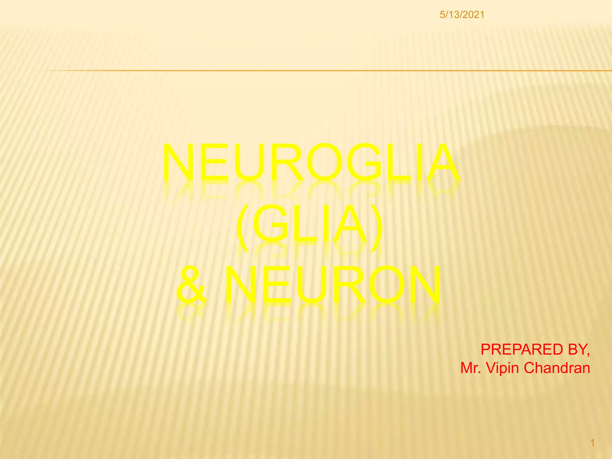 Neuron and neurolgia, nervous system, Anatomy and Physiology | PPTX