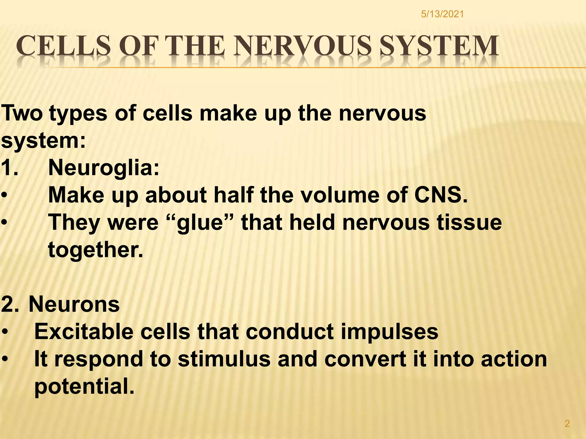Neuron and neurolgia, nervous system, Anatomy and Physiology | PPTX ...