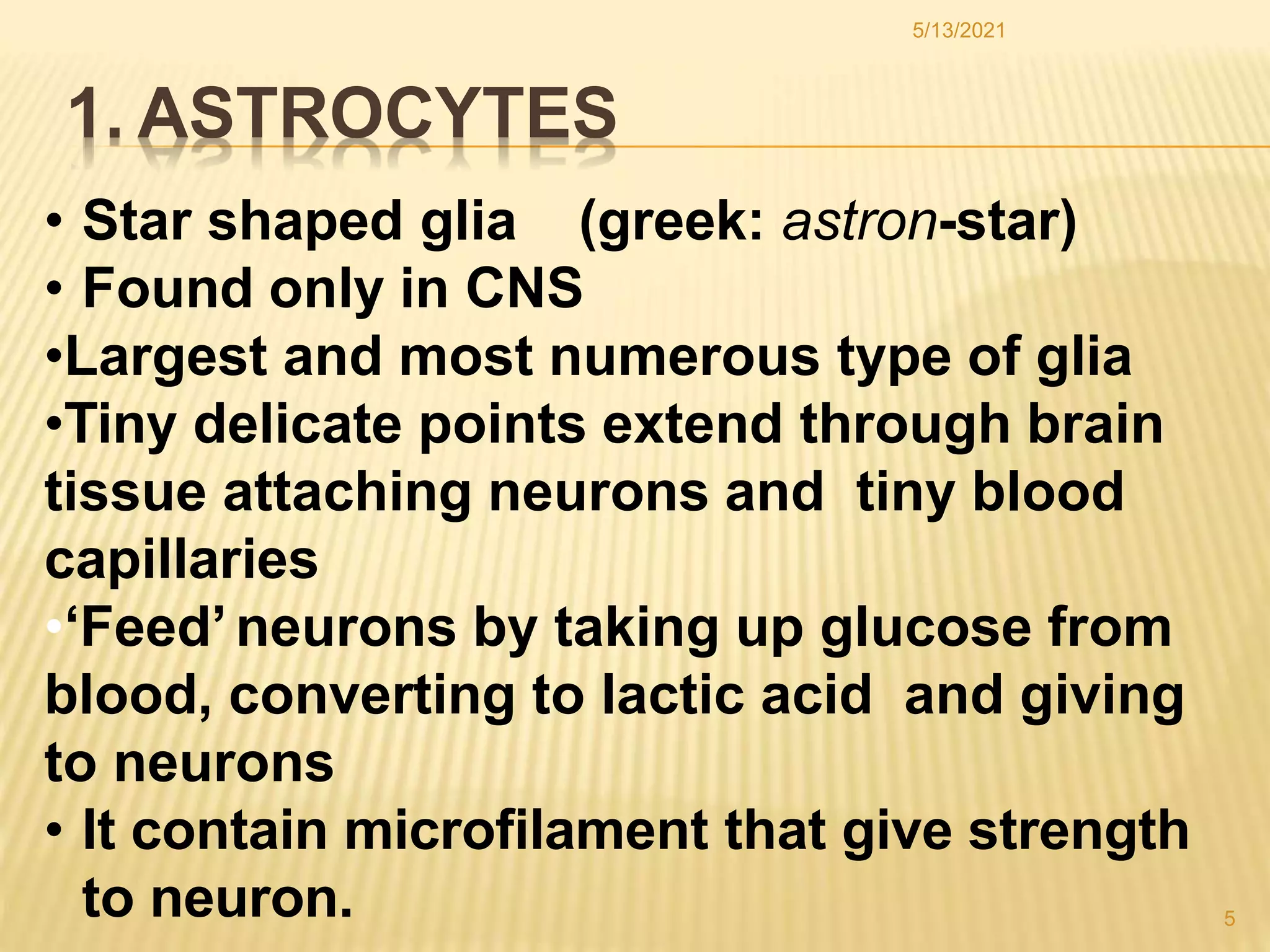 Neuron and neurolgia, nervous system, Anatomy and Physiology | PPTX