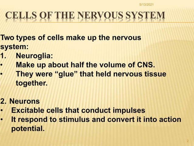 Neuron and neurolgia, nervous system, Anatomy and Physiology | PPTX ...