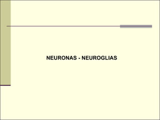 Neurona neuroglia | PDF
