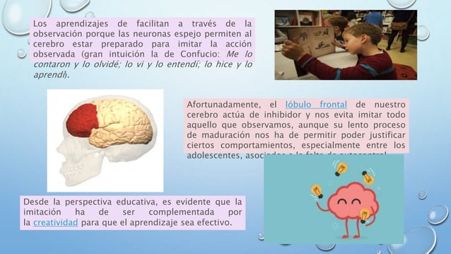 Neuronas Espejo Sem 8pptx 4pptx 