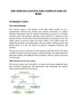 Comprehensive Overview of the Human Nervous System and Its Functions | DOCX