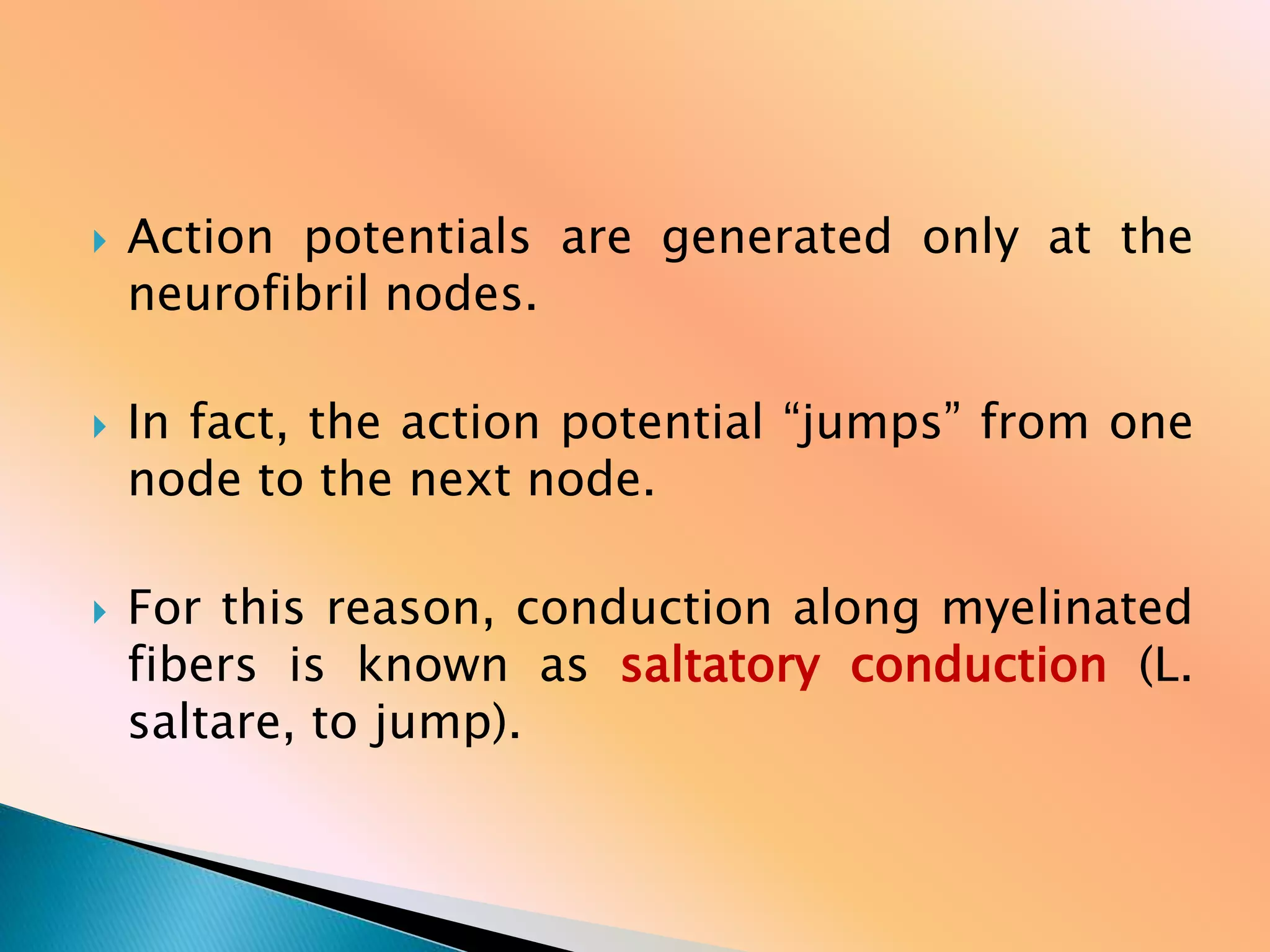 Neuron communication | PPTX