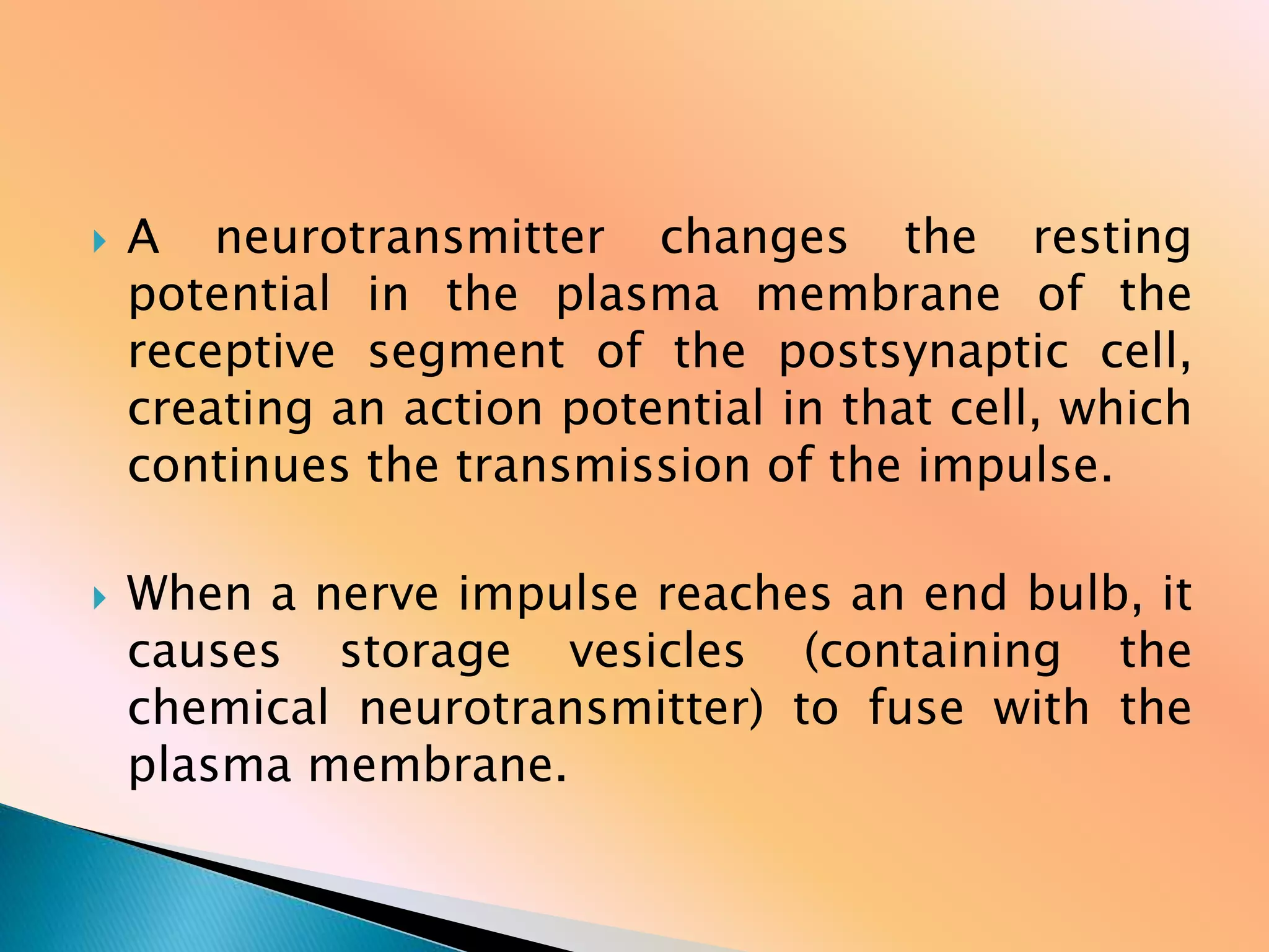 Neuron communication | PPTX
