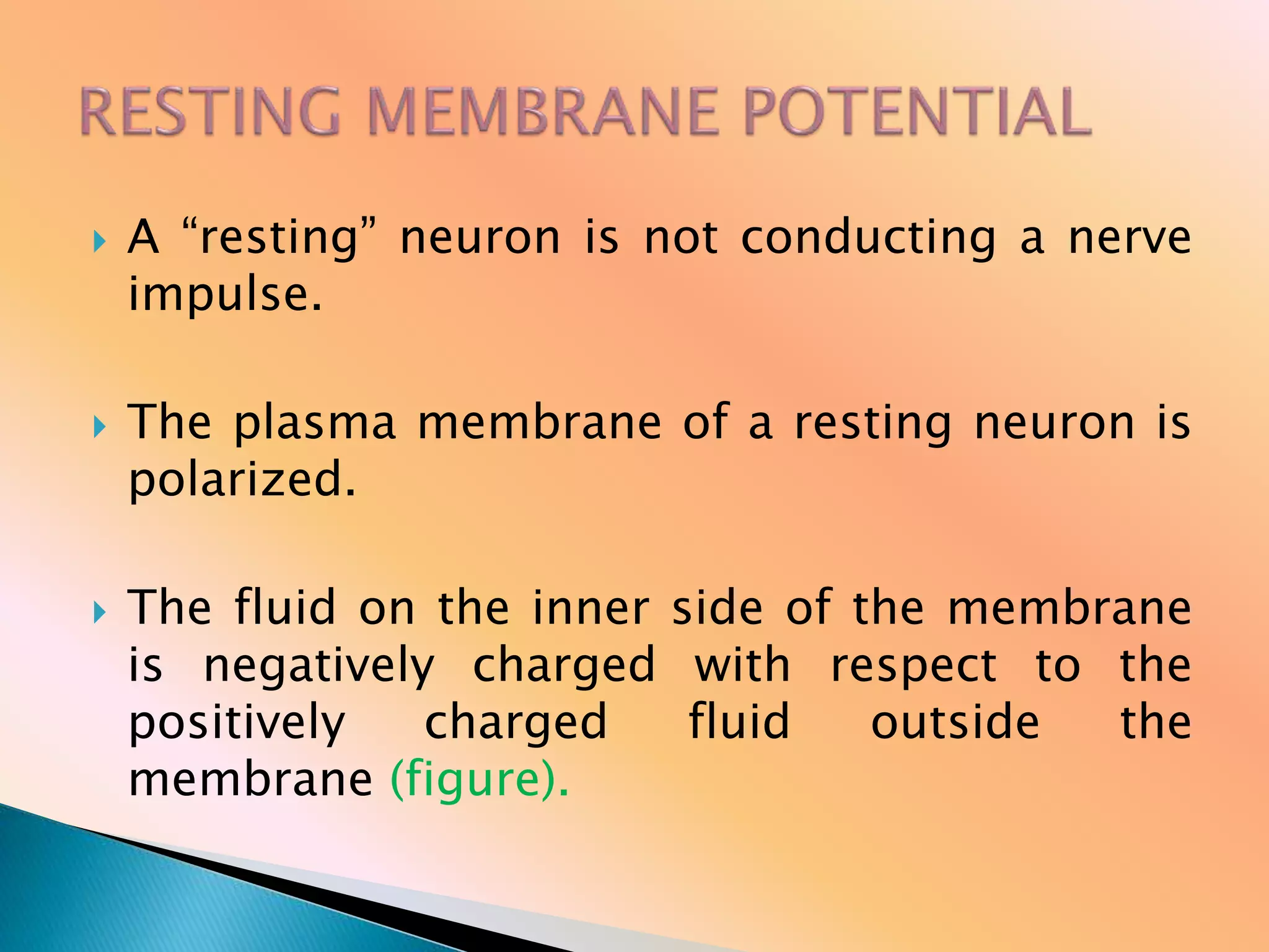Neuron communication | PPTX