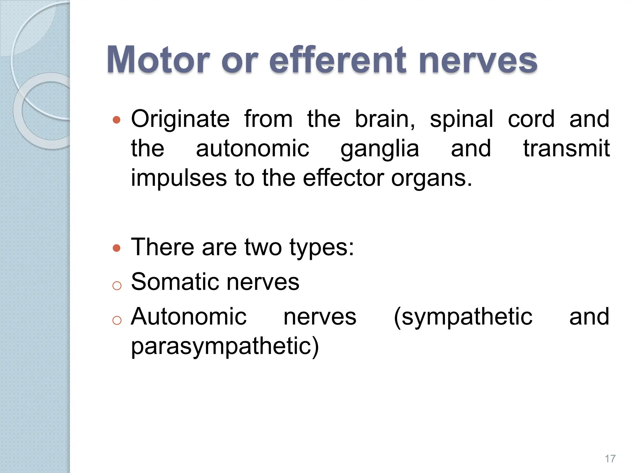 The presentation on the functional unit of nervous system-Neurones.pptx