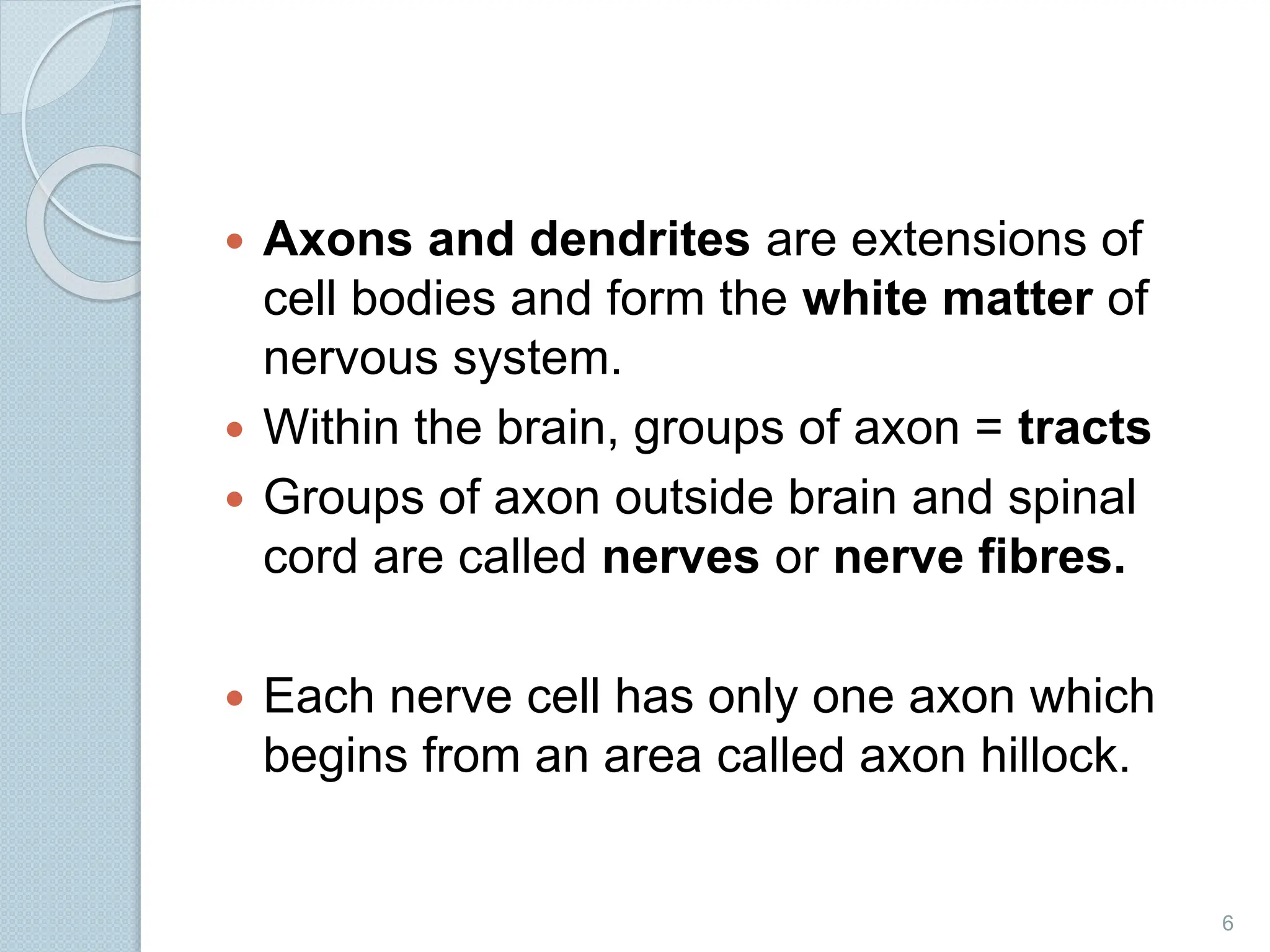 The presentation on the functional unit of nervous system-Neurones.pptx