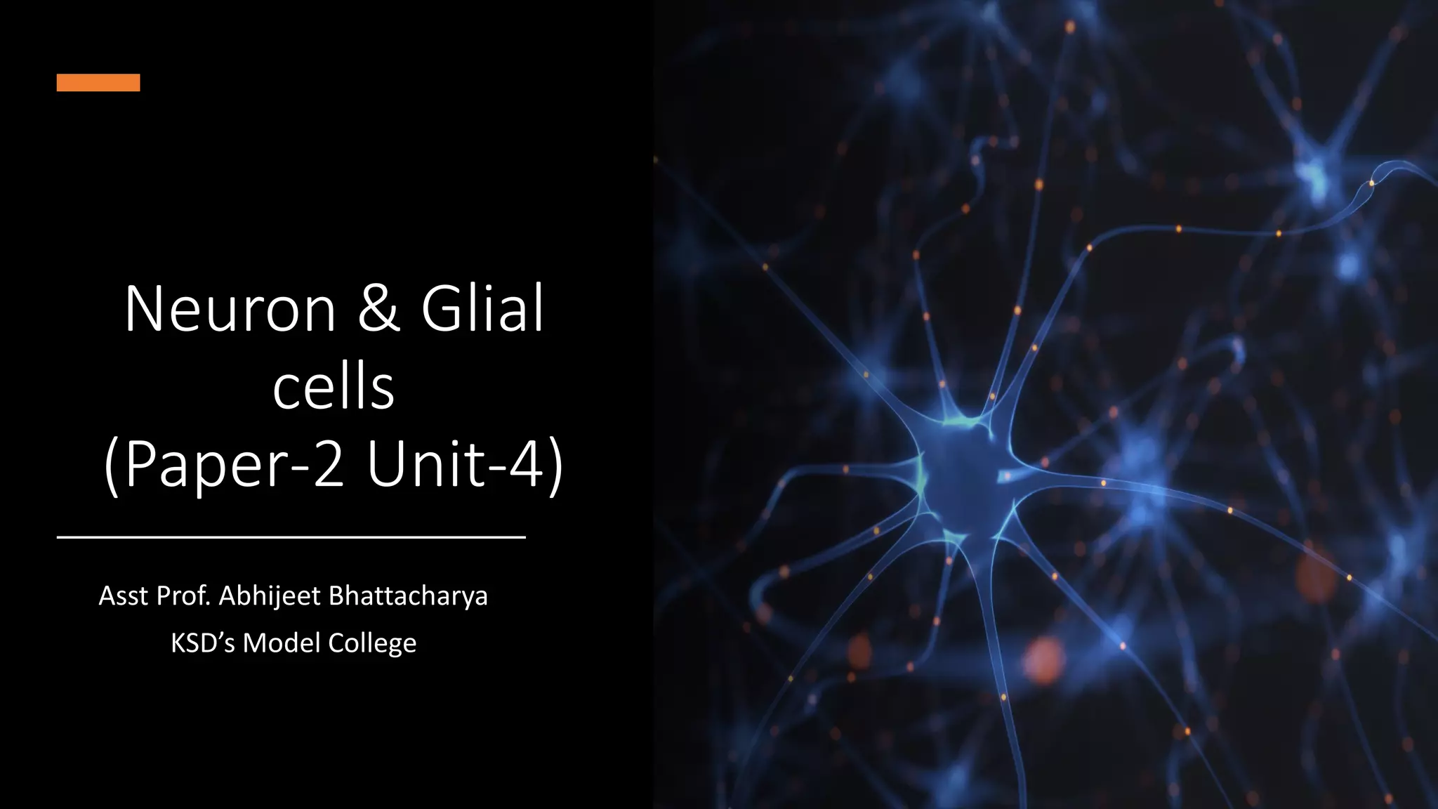 Neuron & Glial cells | PDF