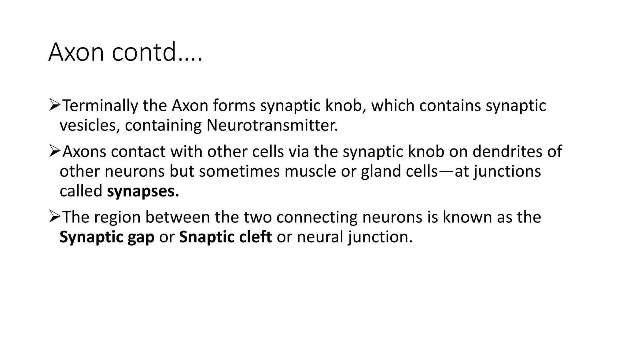 Neuron & Glial cells | PDF