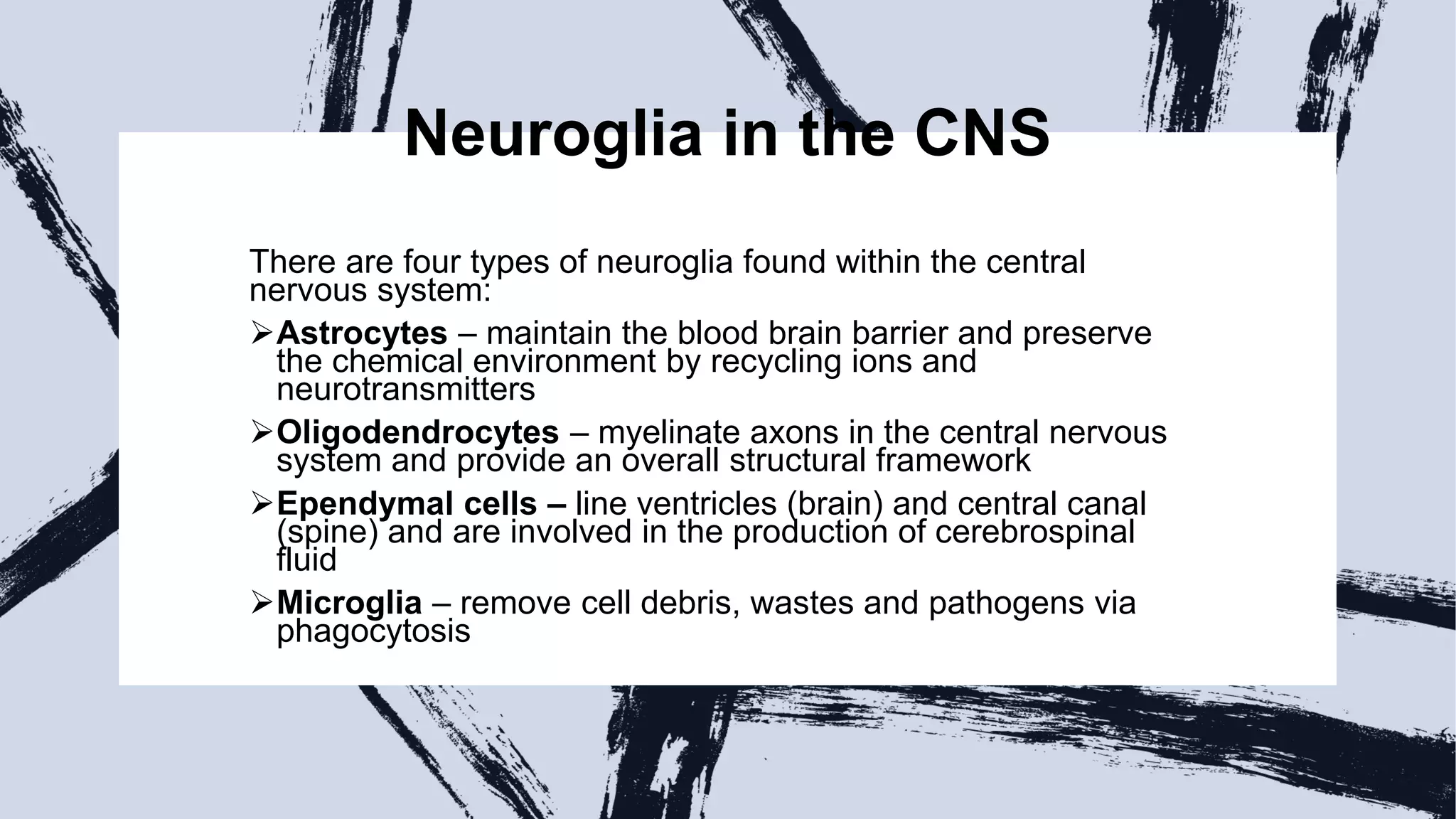Neuron & Glial cells | PDF