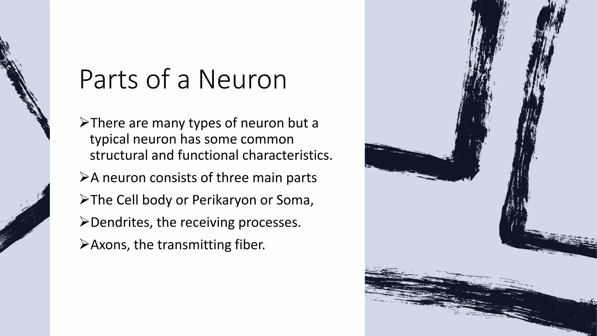 Neuron & Glial cells | PDF