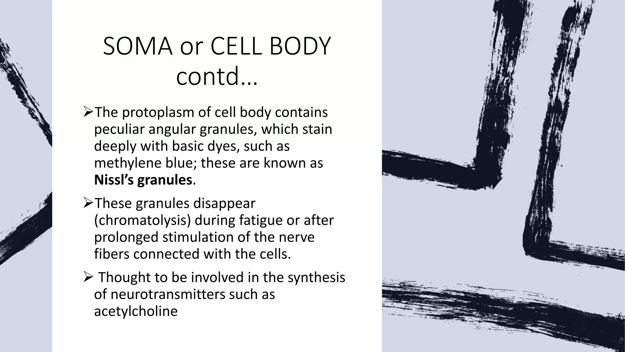 Neuron & Glial cells | PDF