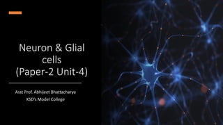 Neuron & Glial cells | PDF