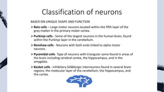 Neuron & Glial cells | PDF