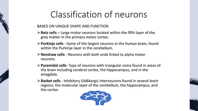 Neuron & Glial cells | PDF
