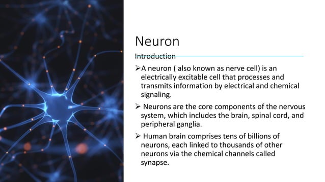 Neuron & Glial cells | PDF