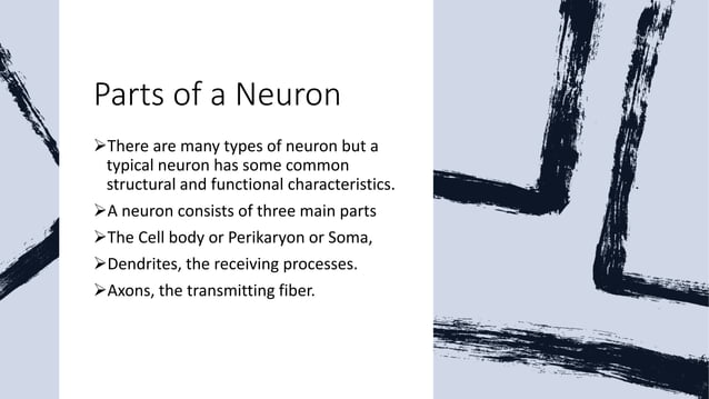 Neuron & Glial cells | PDF