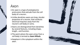 Neuron & Glial cells | PDF