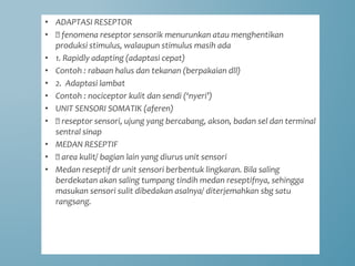 Neuron, impuls saraf & sinaps (2).pptx