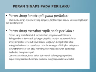 Neuron, impuls saraf & sinaps (2).pptx