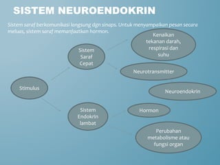 Neuron, impuls saraf & sinaps (2).pptx