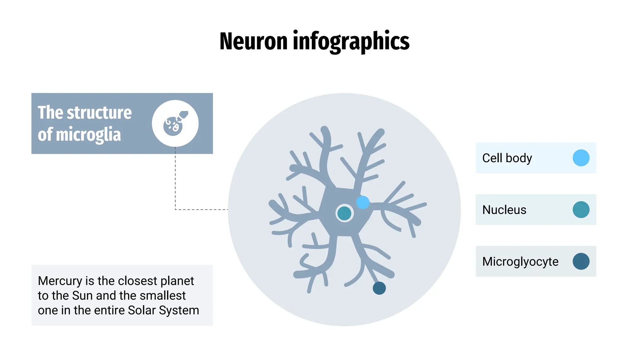 Neuron Infographics.pptx