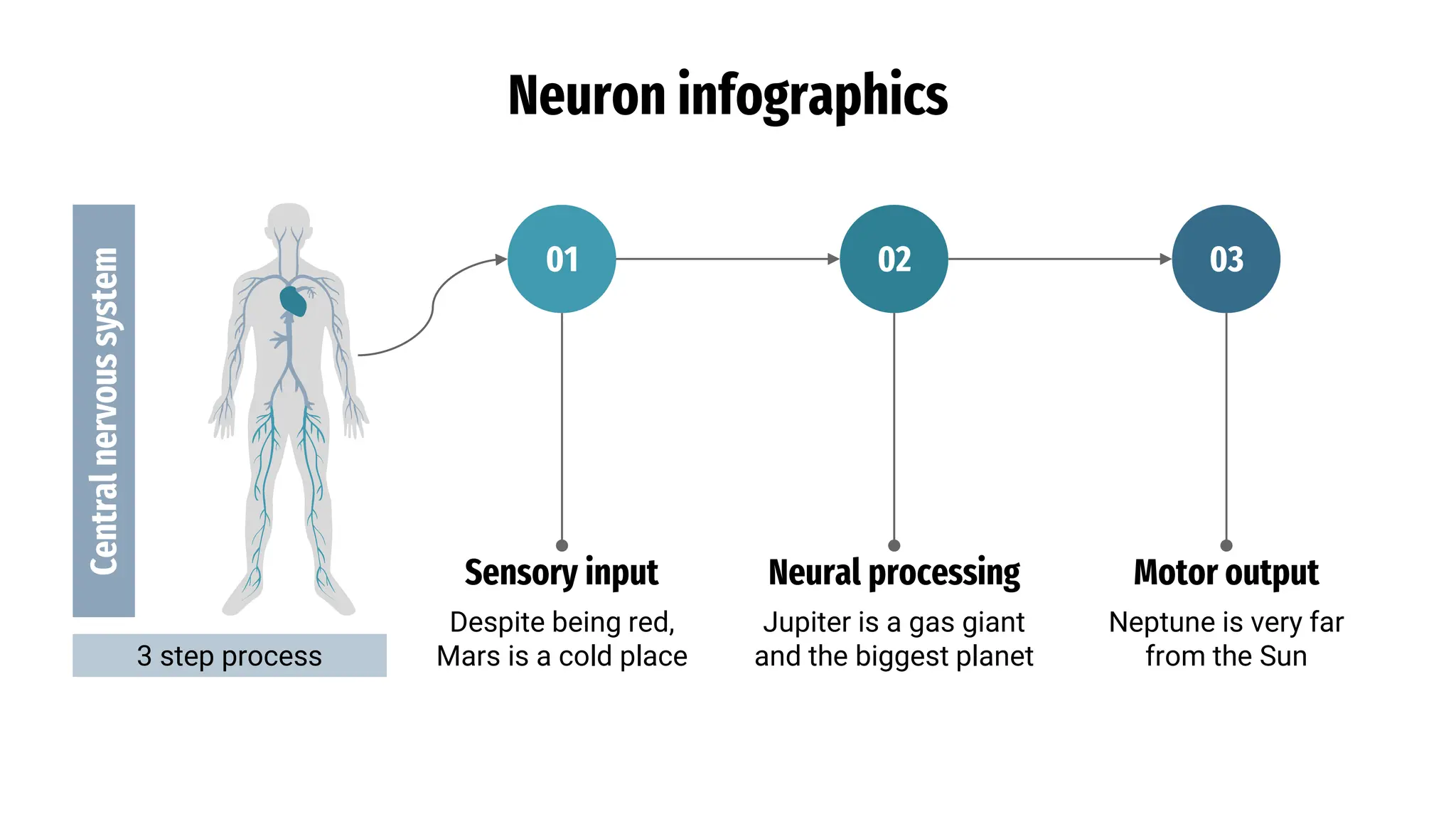 Neuron Infographics.pptx