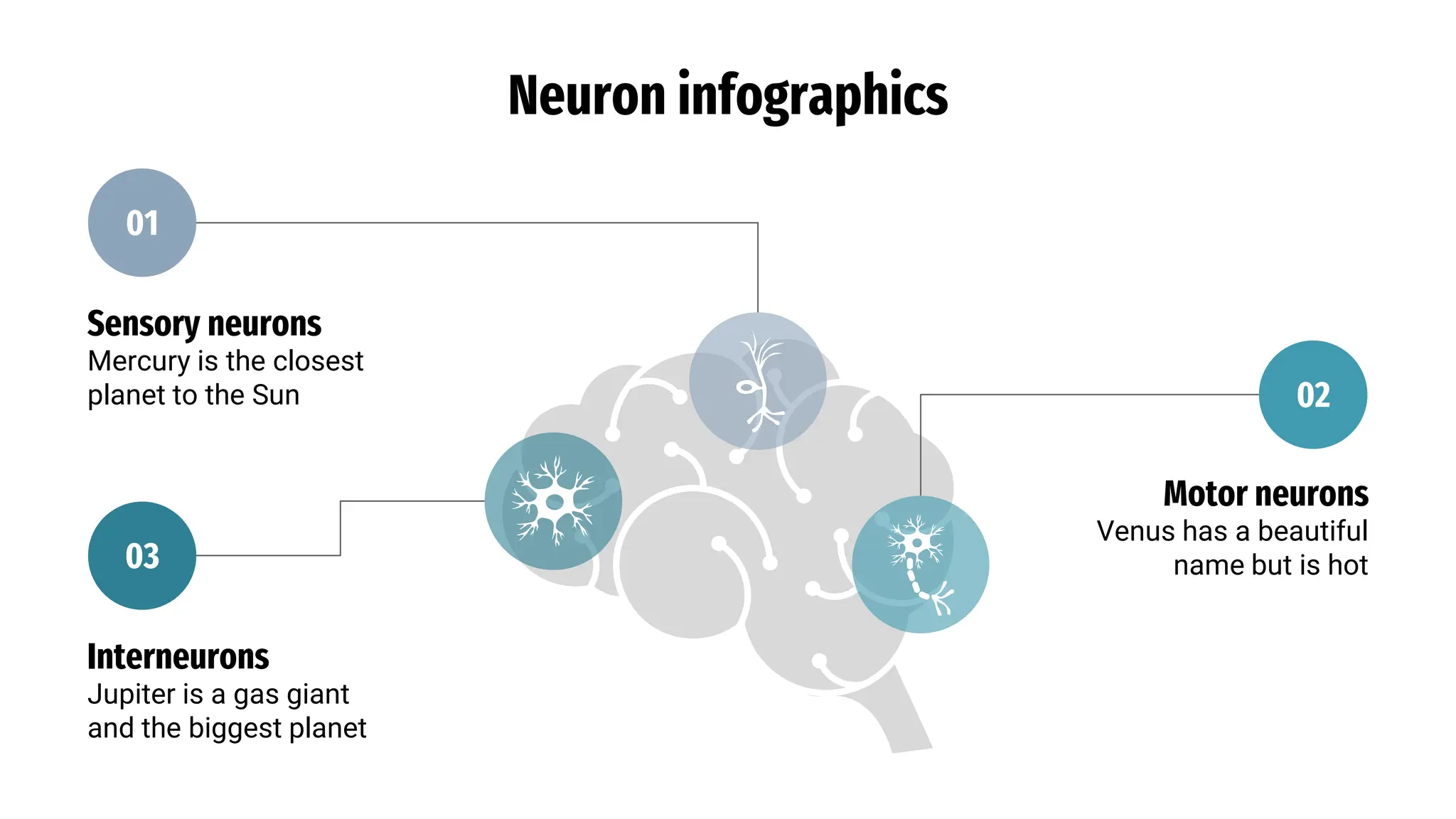 Neuron Infographics.pptx
