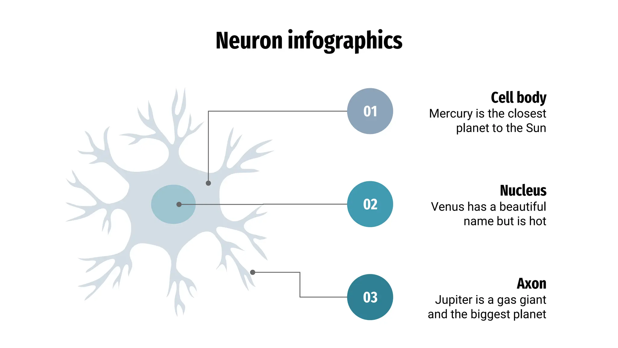 Neuron Infographics.pptx