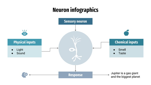 Neuron Infographics.pptx
