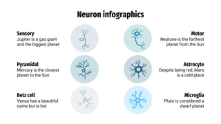 Neuron Infographics.pptx