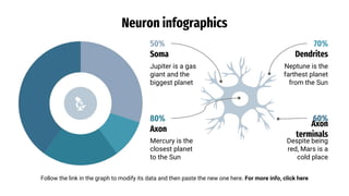 Neuron Infographics.pptx