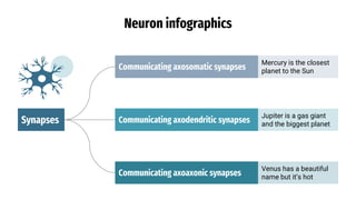 Neuron Infographics.pptx