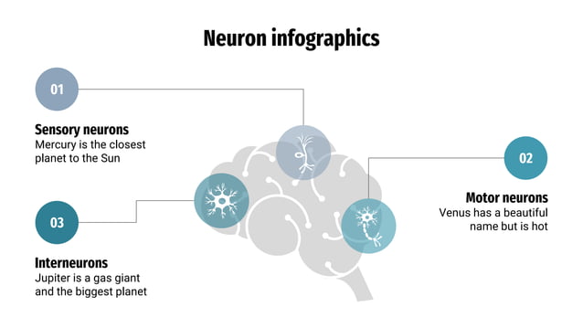 Neuron Infographics.pptx