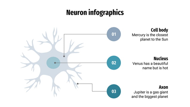 Neuron Infographics.pptx