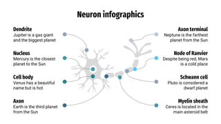 Neuron Infographics.pptx