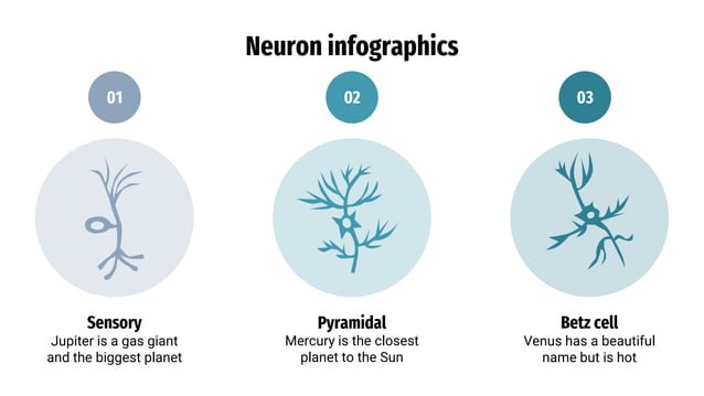Neuron Infographics.pptx