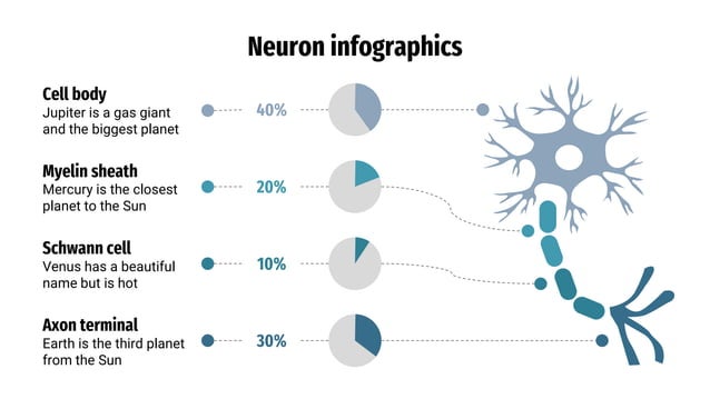 Neuron Infographics for medical students | PPT