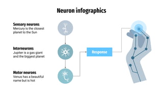 Neuron Infographics for medical students | PPTX