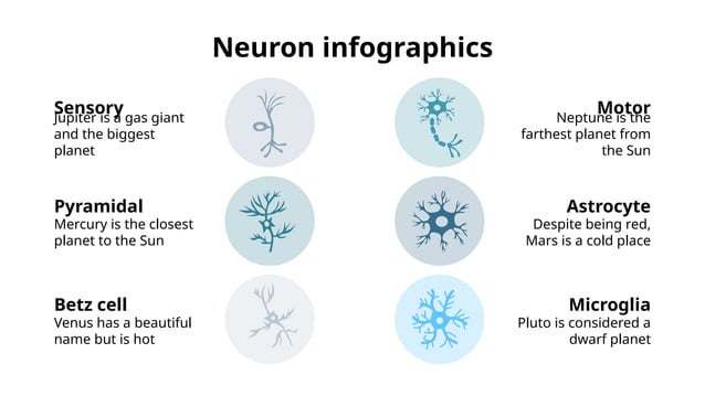 Neuron Infographics by Slidesgoxxxx.pptx