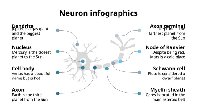 Neuron Infographics by Slidesgoxxxx.pptx
