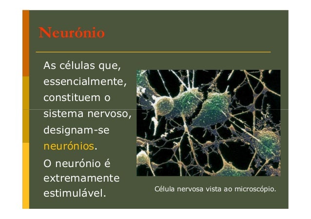 Neuronio